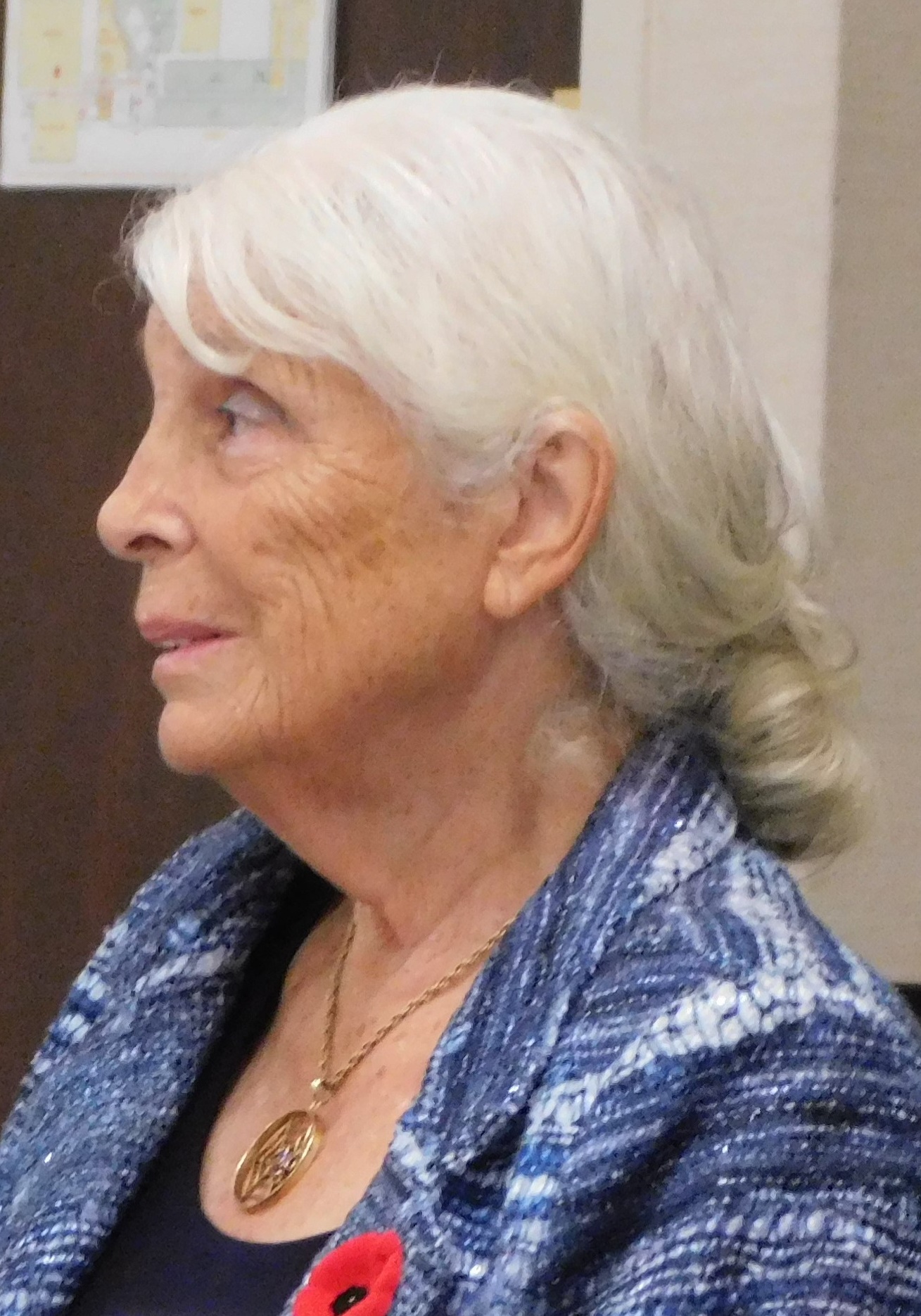 Anne Marsden speaks to the students: ‘Our future’ as she puts it adding ...