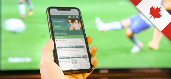 Legal challenges facing international sports betting platforms in ...