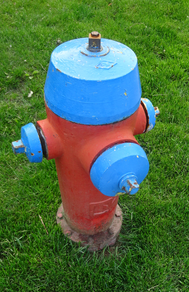 Reader wants to know why fire hydrants are different colours – Fire ...