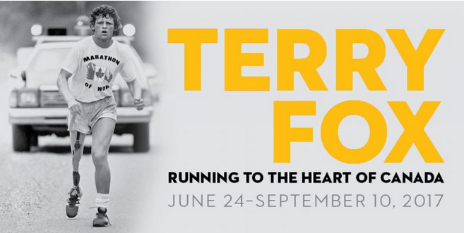 Marvelous collection of chimes at the Art Gallery – in the Dan Lawrie ...